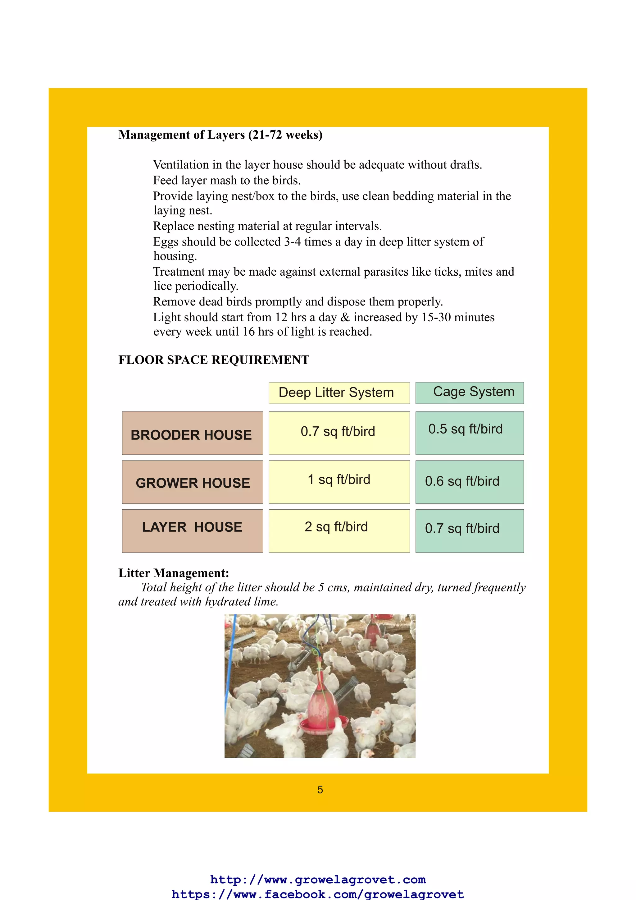 A Begineers Guide to Poultry Layer Farming | PDF