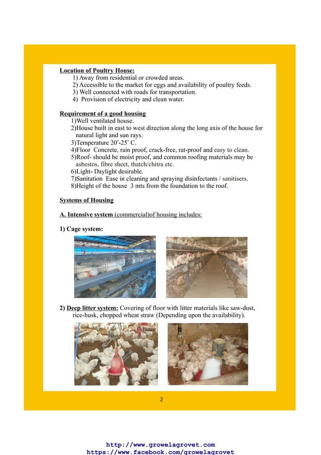 A Begineers Guide to Poultry Layer Farming | PDF