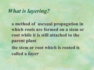 Layering | PPT