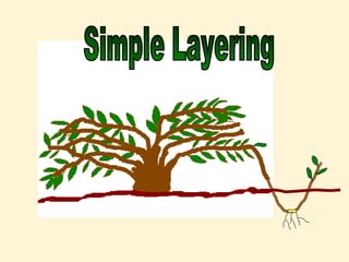 Layering | PPT