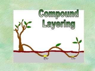 Layering | PPT