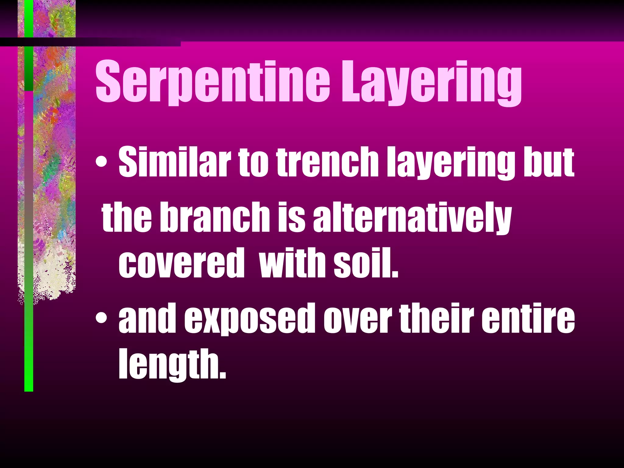 Layering | PPT