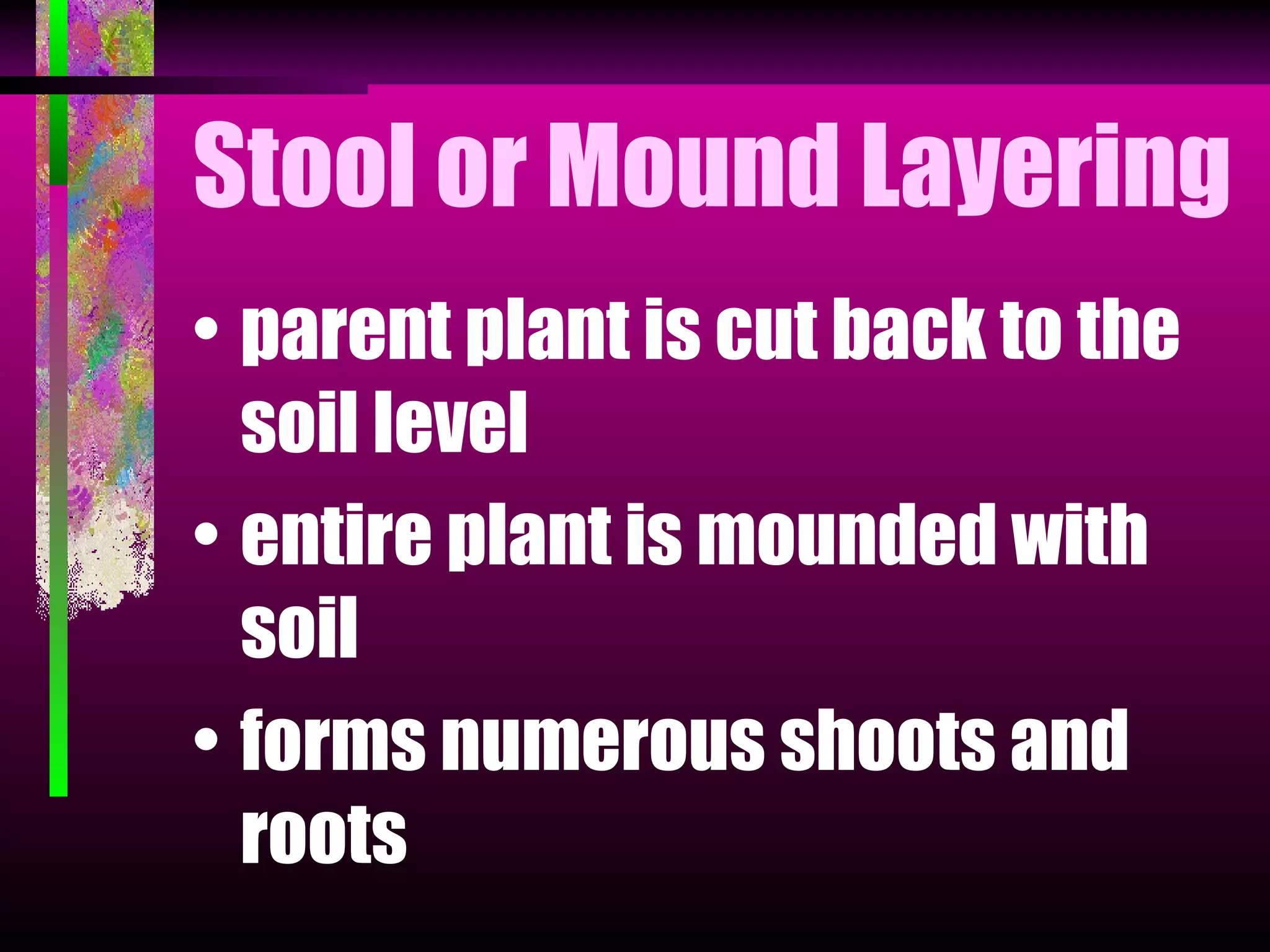 Layering | PPT