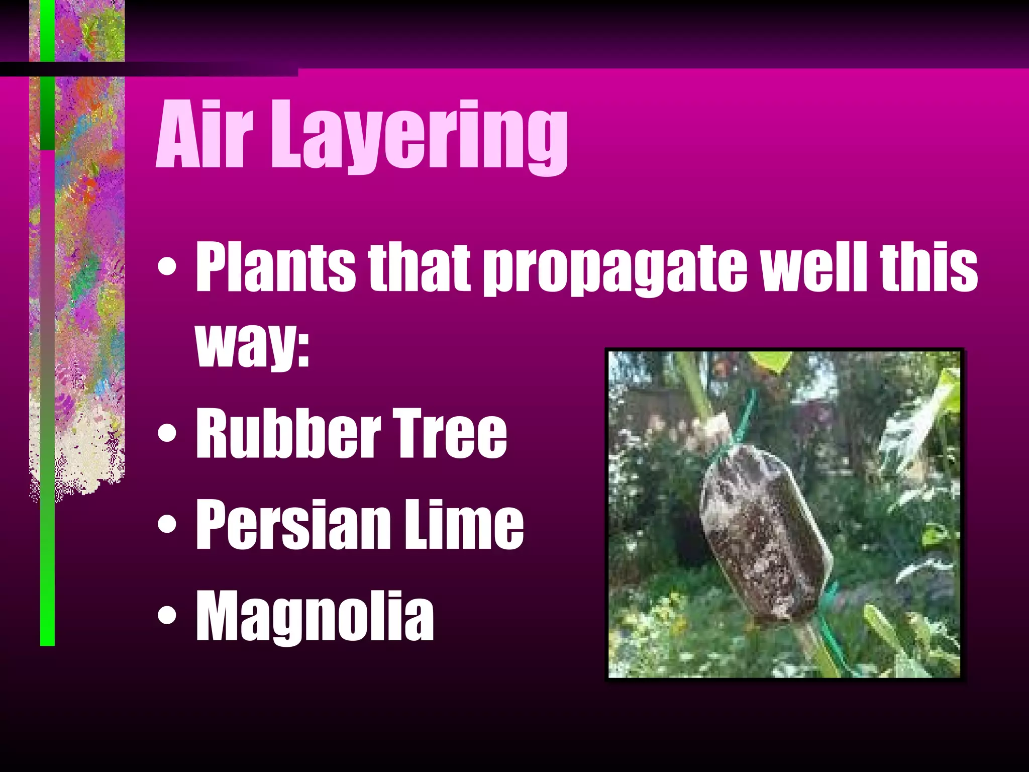 Layering | PPT