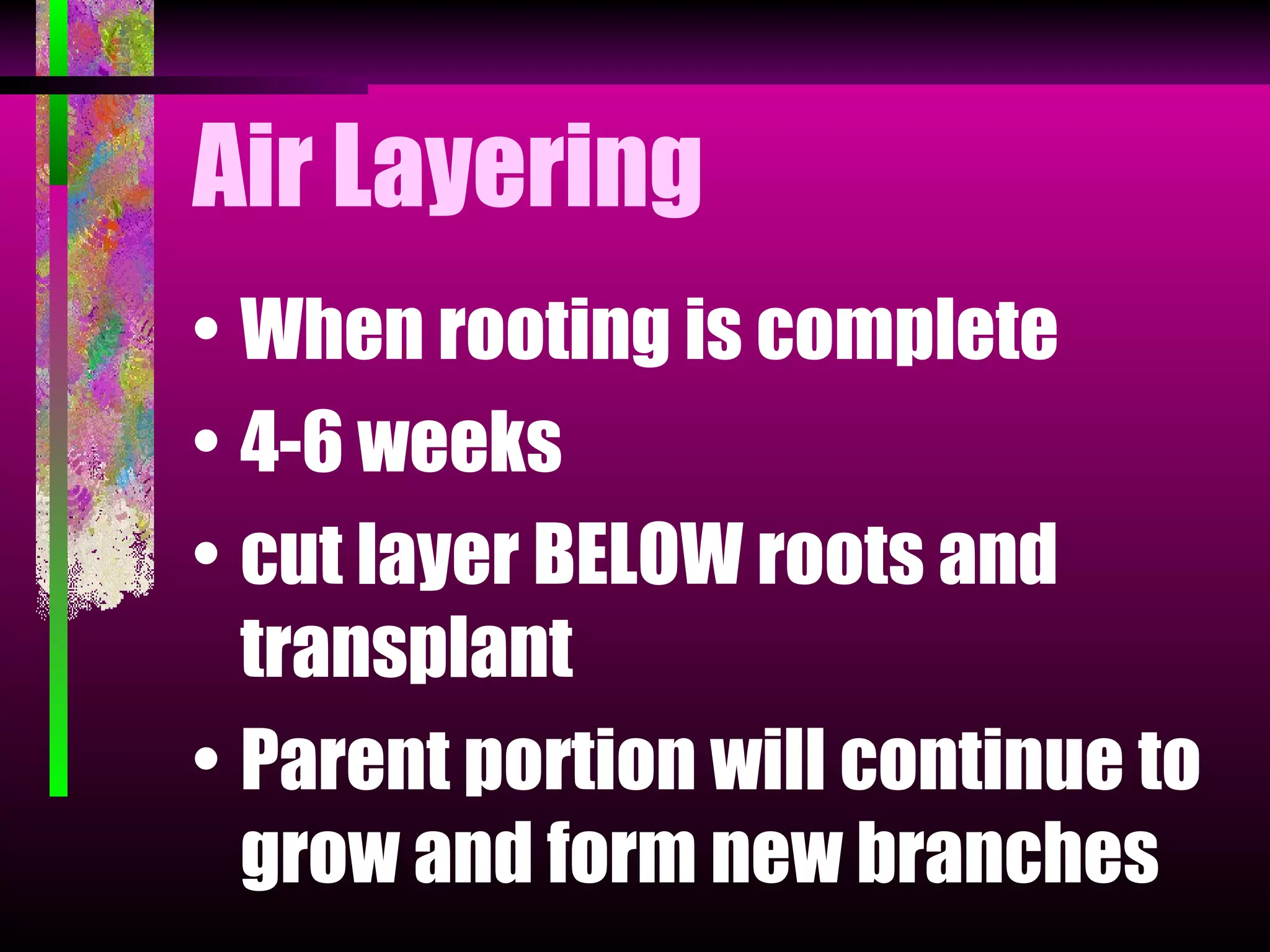 Layering | PPT