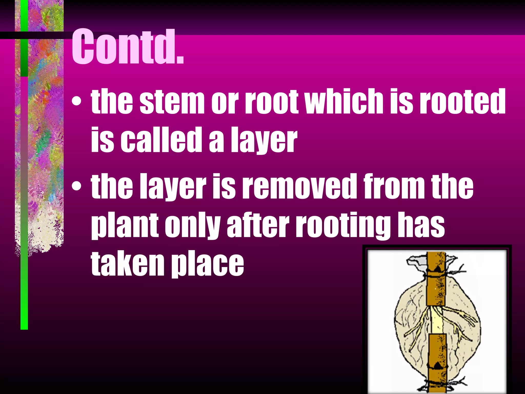 Layering | PPT