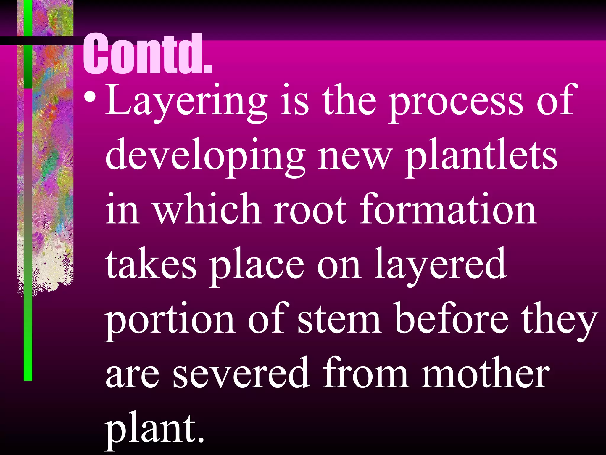 Layering | PPT