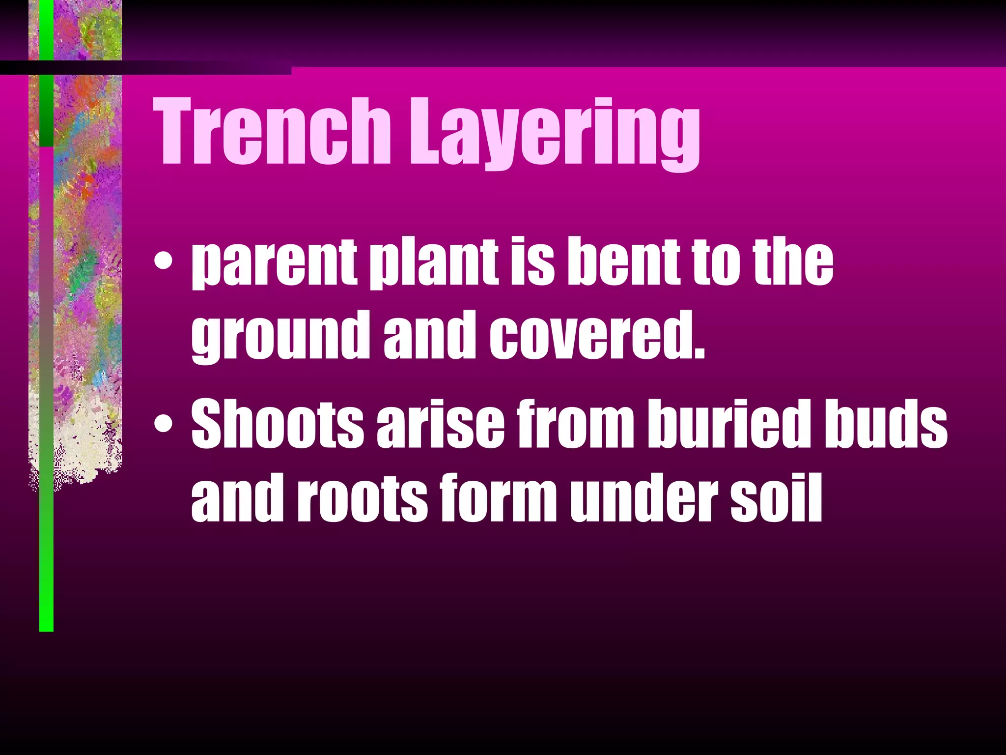 Layering | PPT