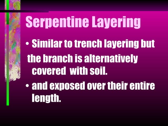 Layering | PPT