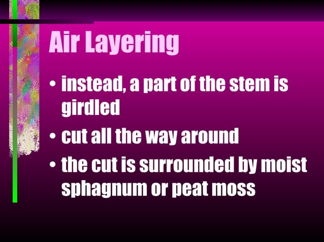 Layering | PPT