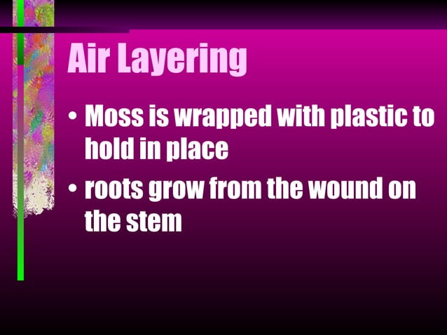 Layering | PPT