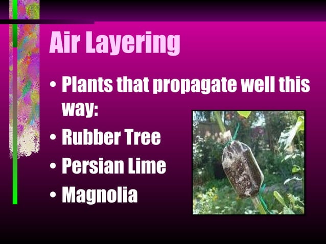 Layering | PPT