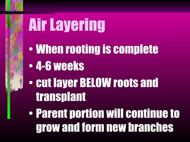 Layering | PPT