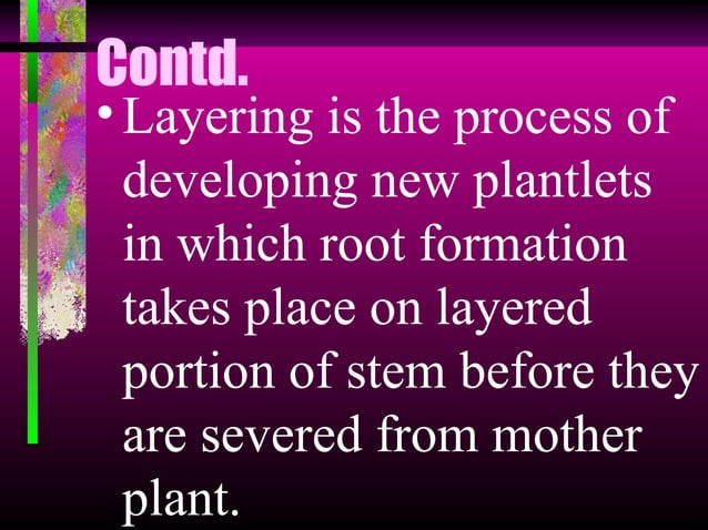 Layering | PPT