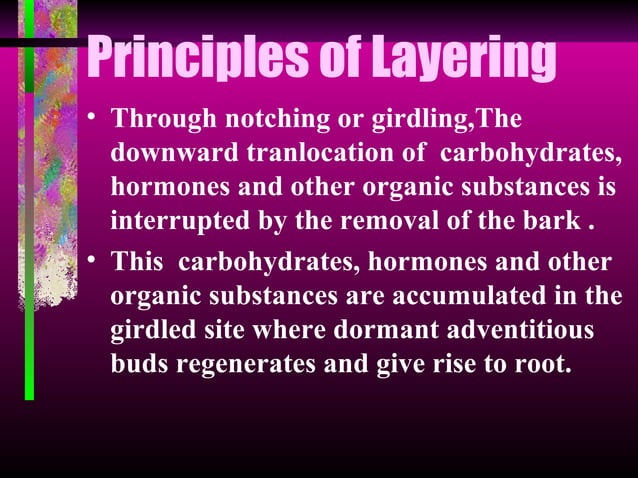 Layering | PPT
