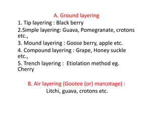 Layering | PPT