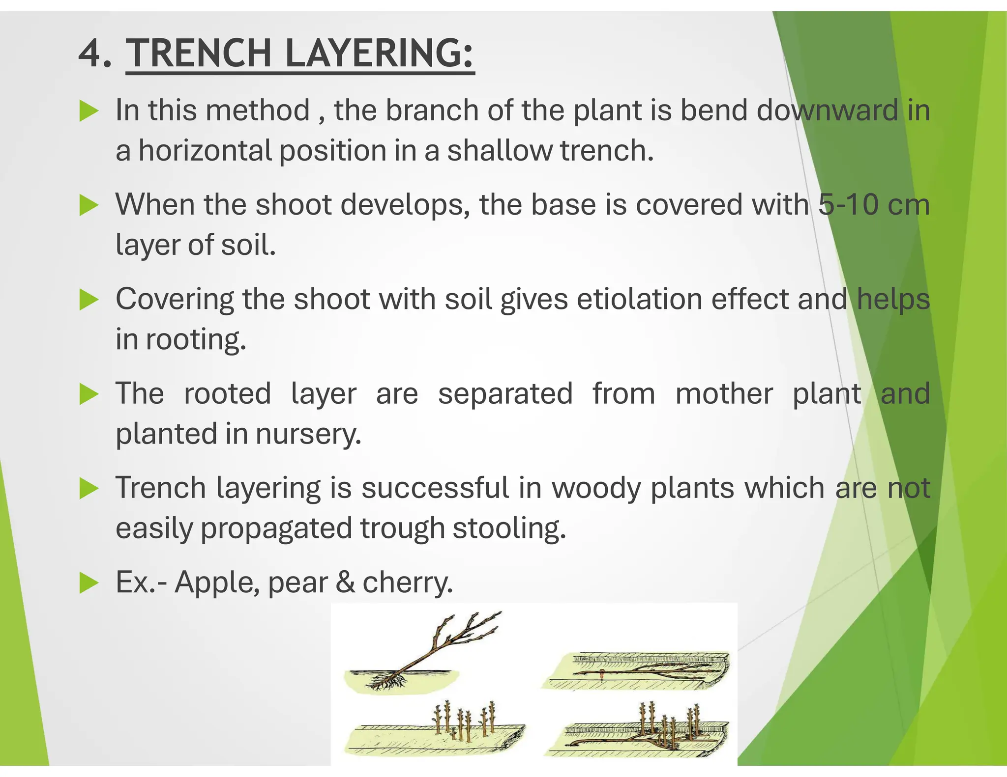 "Principles of Layering and its methods" .pdf