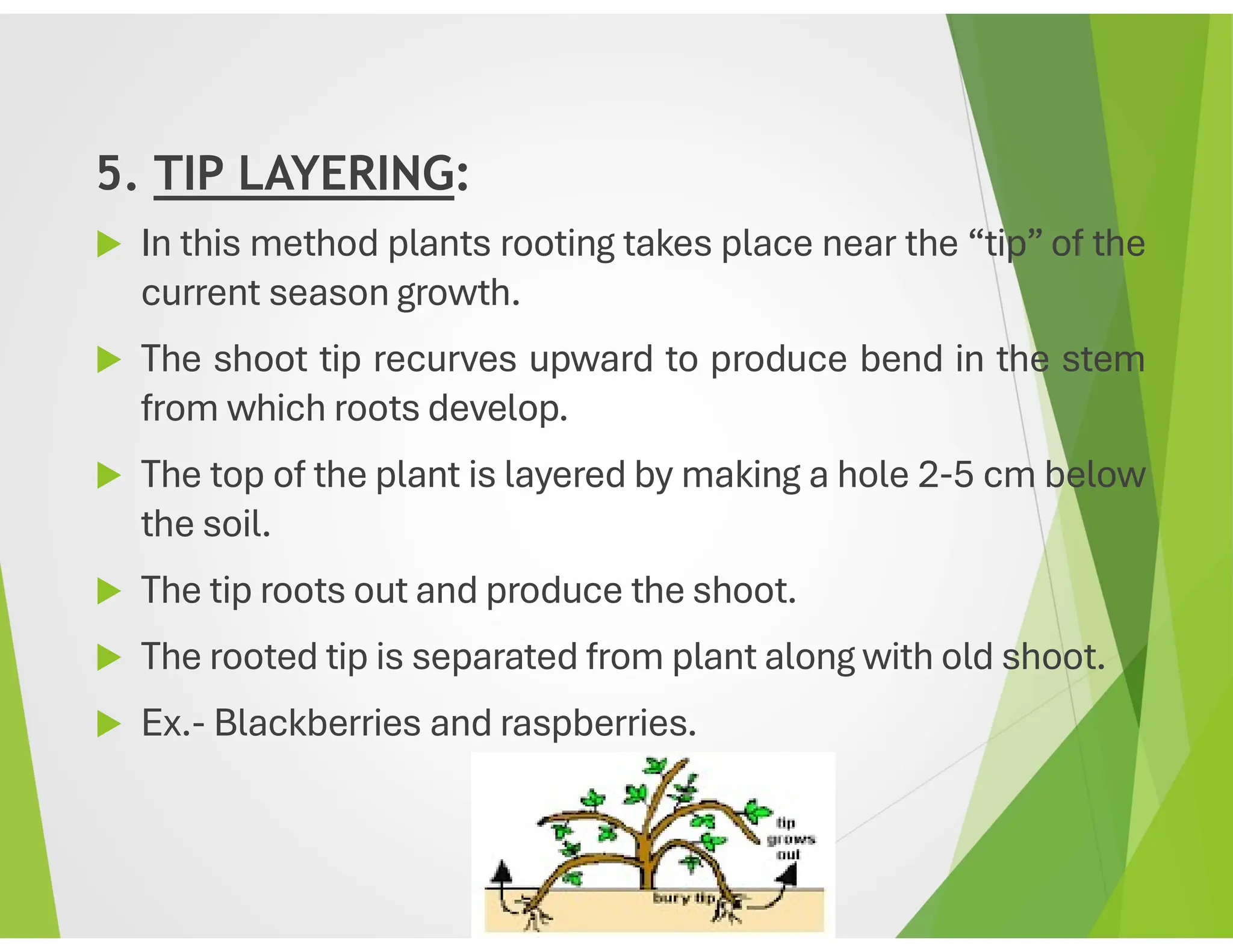 "Principles of Layering and its methods" .pdf