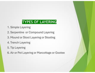 "Principles of Layering and its methods" .pdf | Gardening | Home & Garden