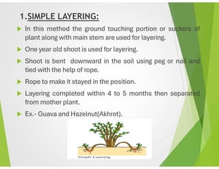 "Principles of Layering and its methods" .pdf | Gardening | Home & Garden