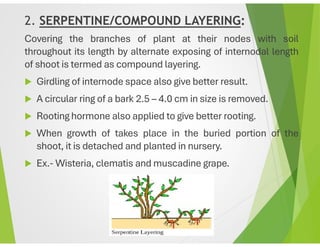 "Principles of Layering and its methods" .pdf | Gardening | Home & Garden