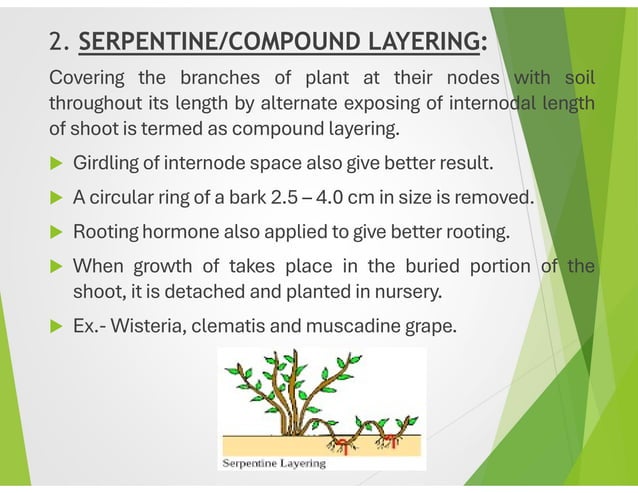 "Principles of Layering and its methods" .pdf | Gardening | Home & Garden