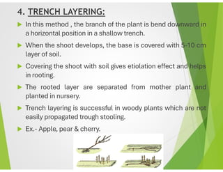 "Principles of Layering and its methods" .pdf | Gardening | Home & Garden