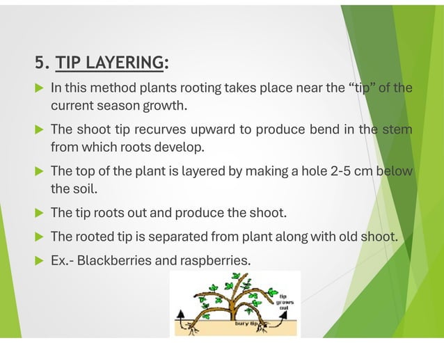 "Principles of Layering and its methods" .pdf | Gardening | Home & Garden