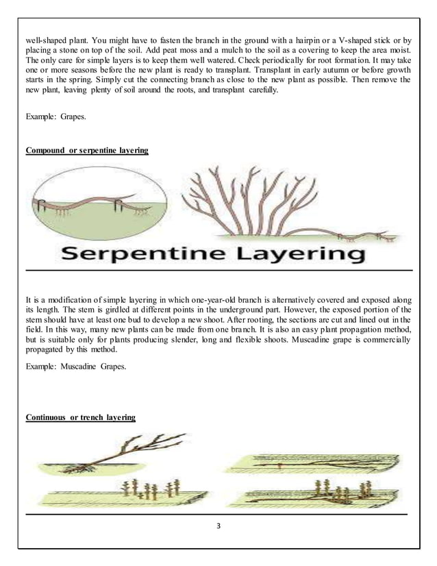 Layering[1] | DOCX
