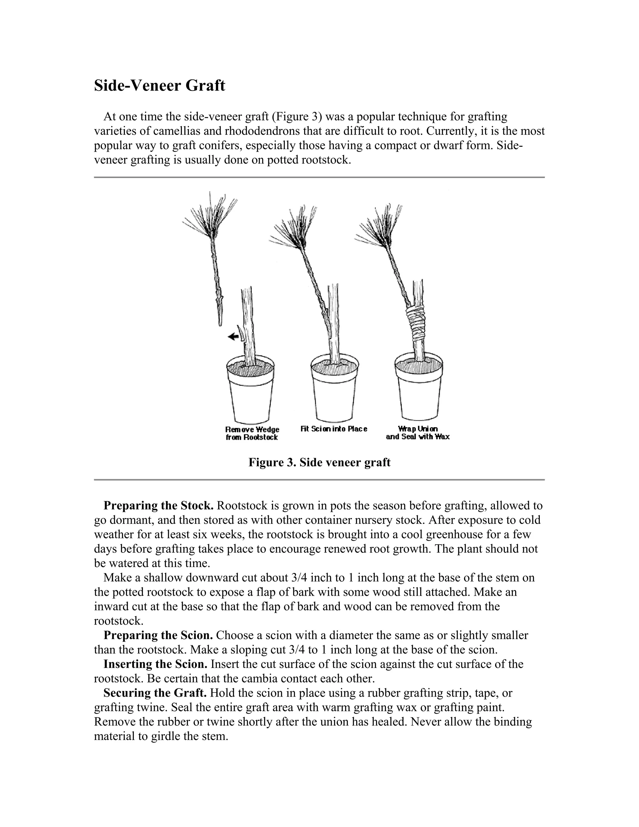 Layering and grafting | PDF