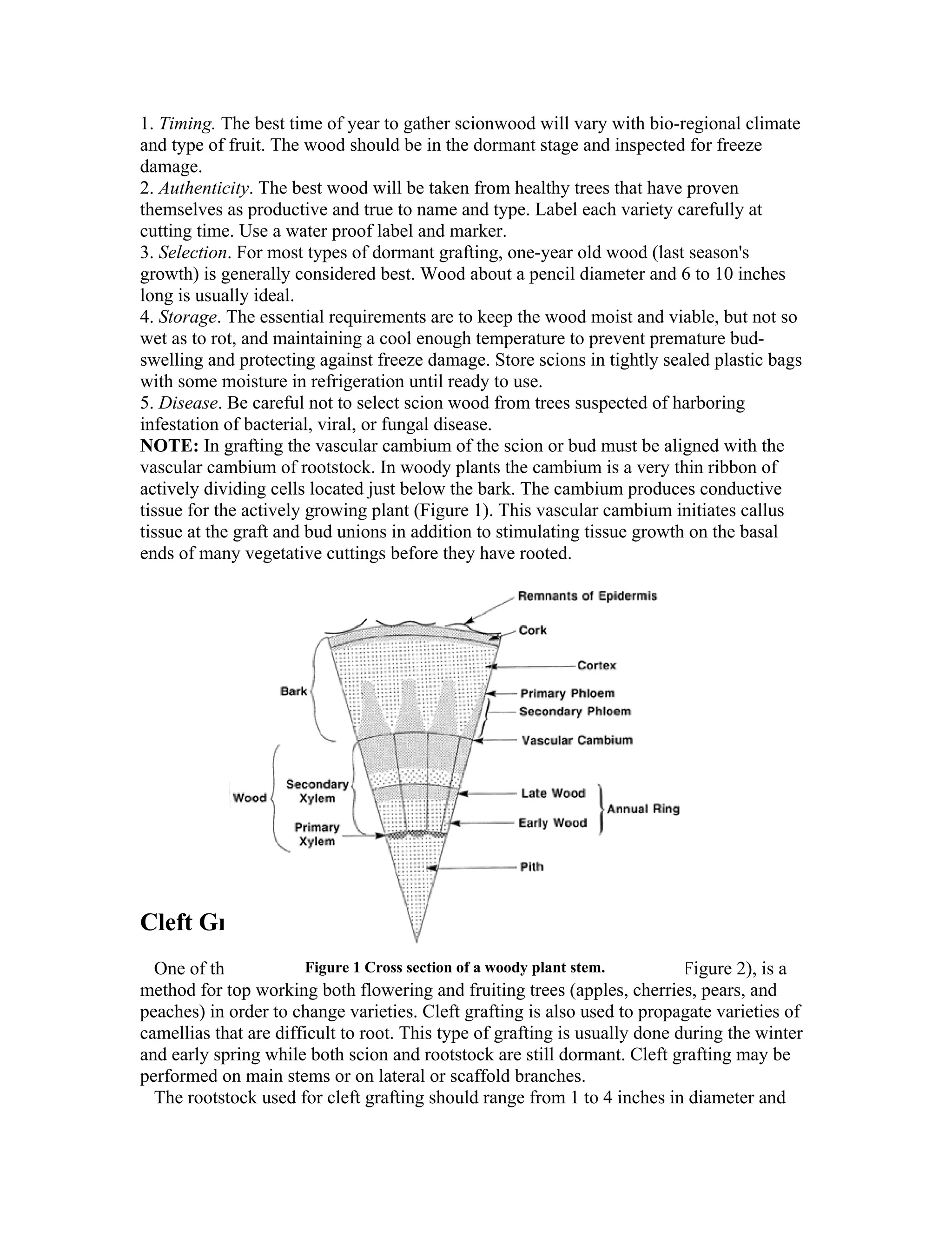 Layering and grafting | PDF