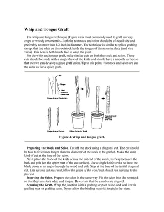 Layering and grafting | PDF