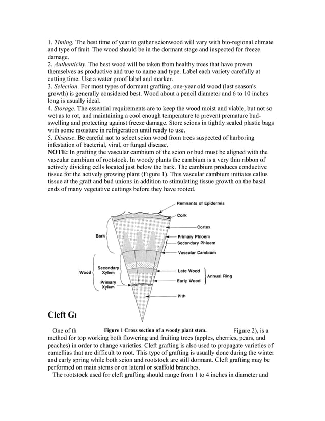 Layering and grafting | PDF | Gardening | Home & Garden