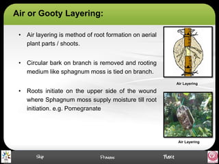 Plant Propagation (Layering and grafting) Chapter for SEE Nepal | PPTX