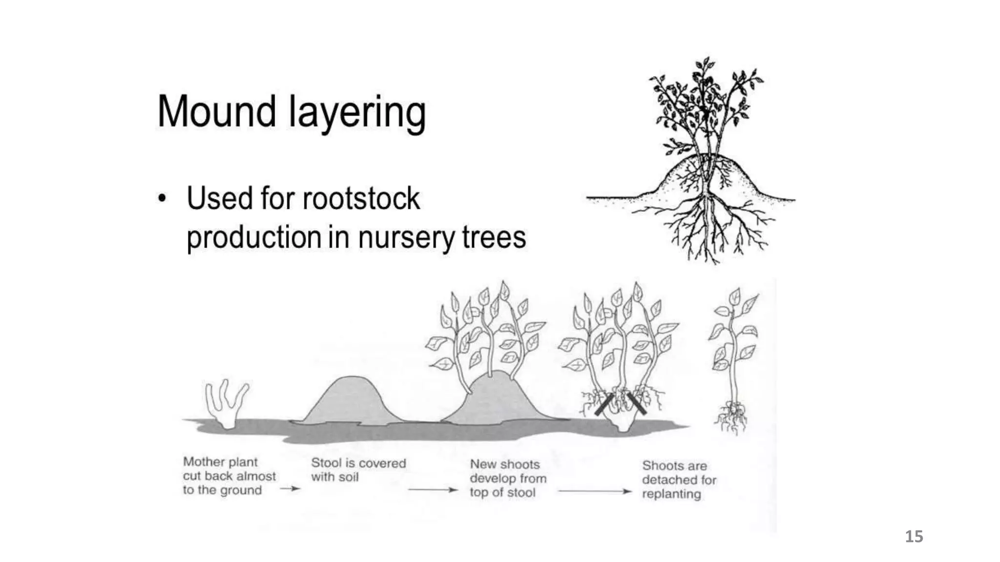 Layering principles and methods | PPTX