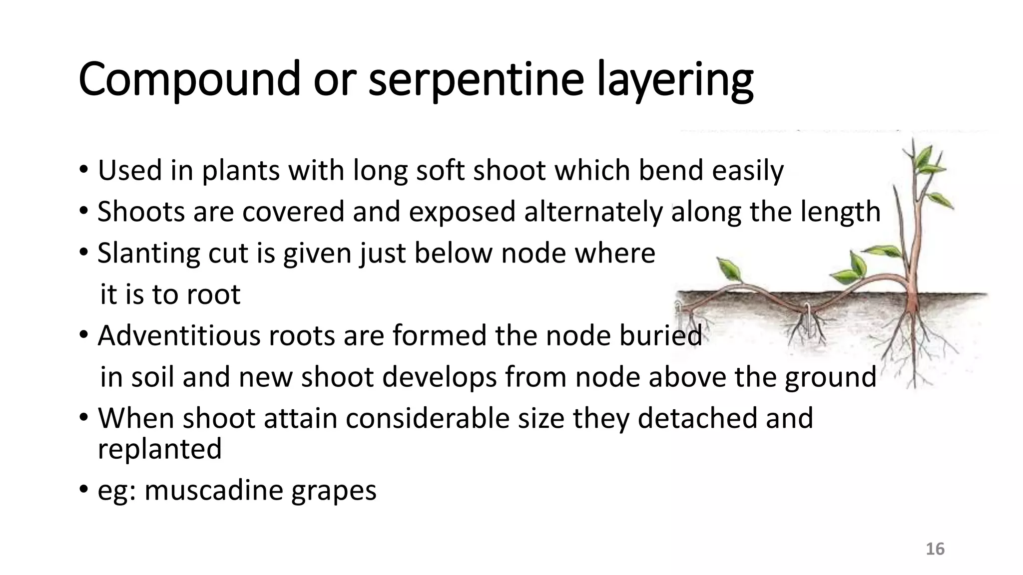 Layering principles and methods | PPTX