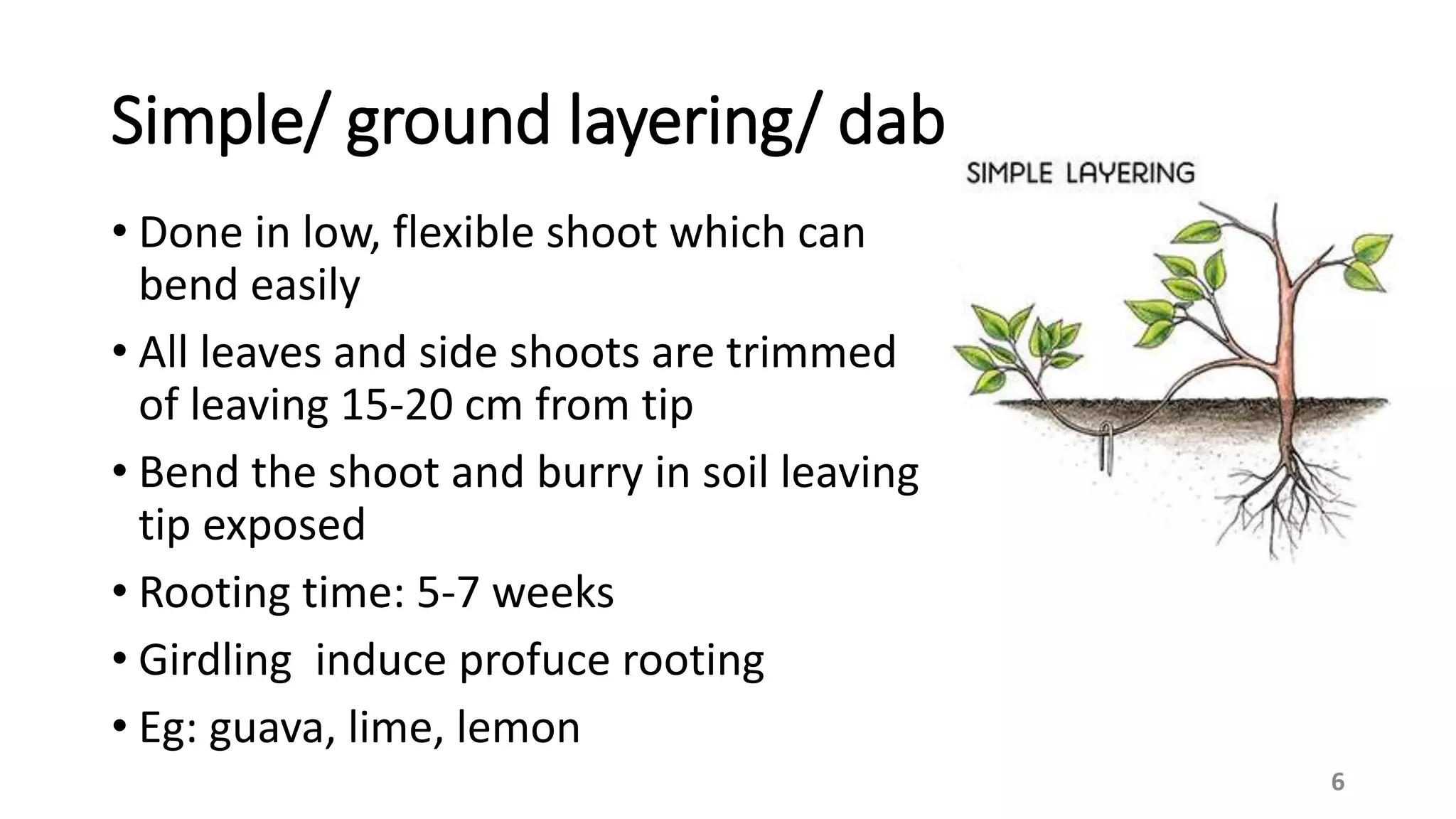 Layering principles and methods | PPTX