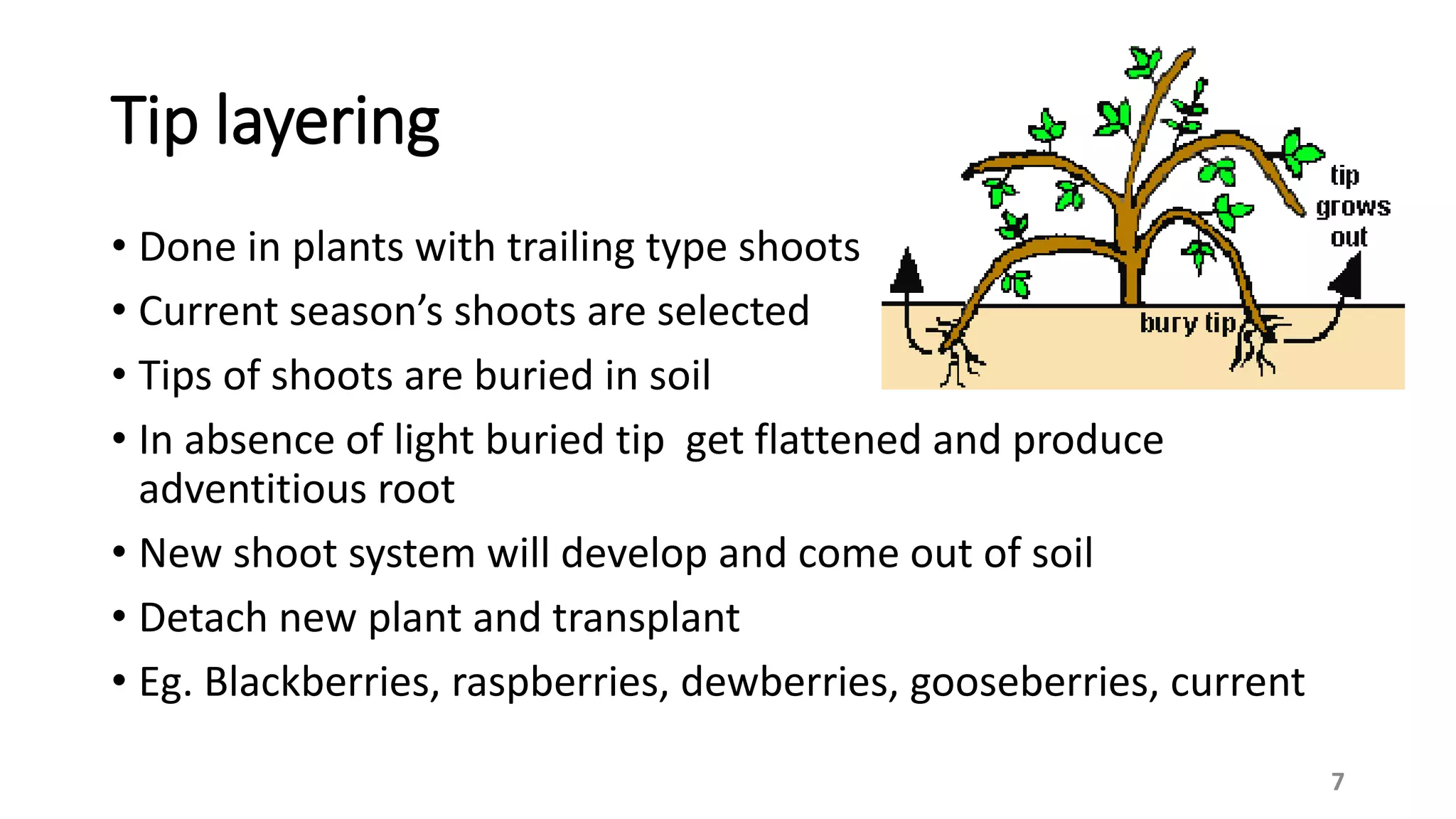 Layering principles and methods | PPTX