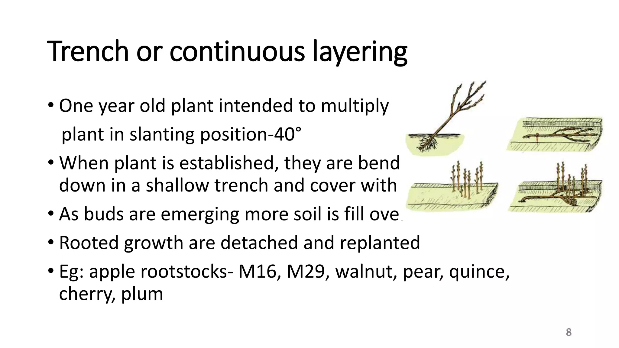 Layering principles and methods | PPTX