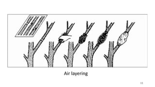 Layering principles and methods | PPTX