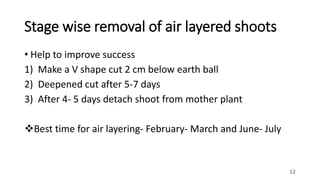 Layering principles and methods | PPTX