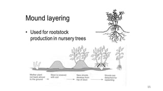 Layering principles and methods | PPTX