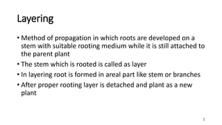 Layering principles and methods | PPTX