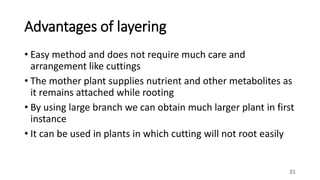 Layering principles and methods | PPTX