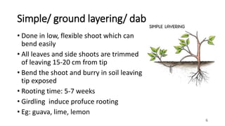 Layering principles and methods | PPTX