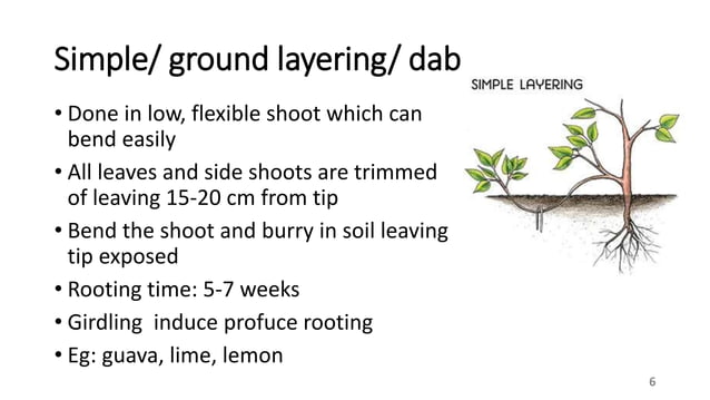 Layering principles and methods | PPTX