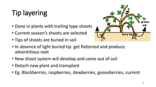 Layering principles and methods | PPTX
