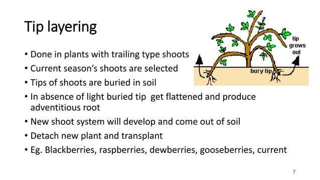 Layering Principles And Methods Pptx