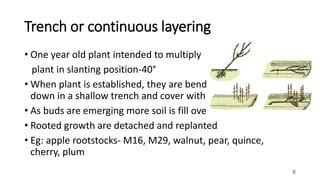 Layering principles and methods | PPTX