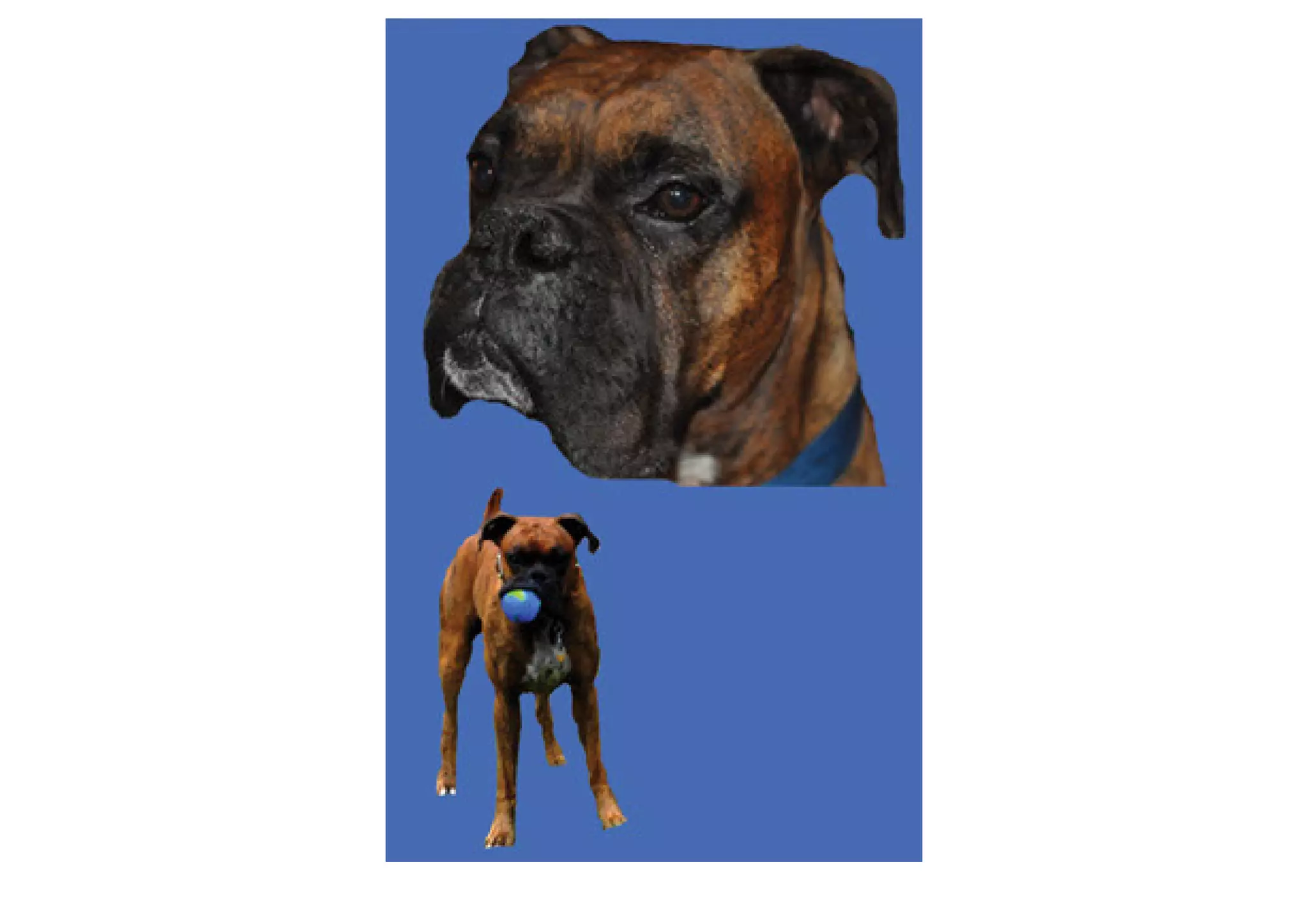 Layer mask composite | PDF